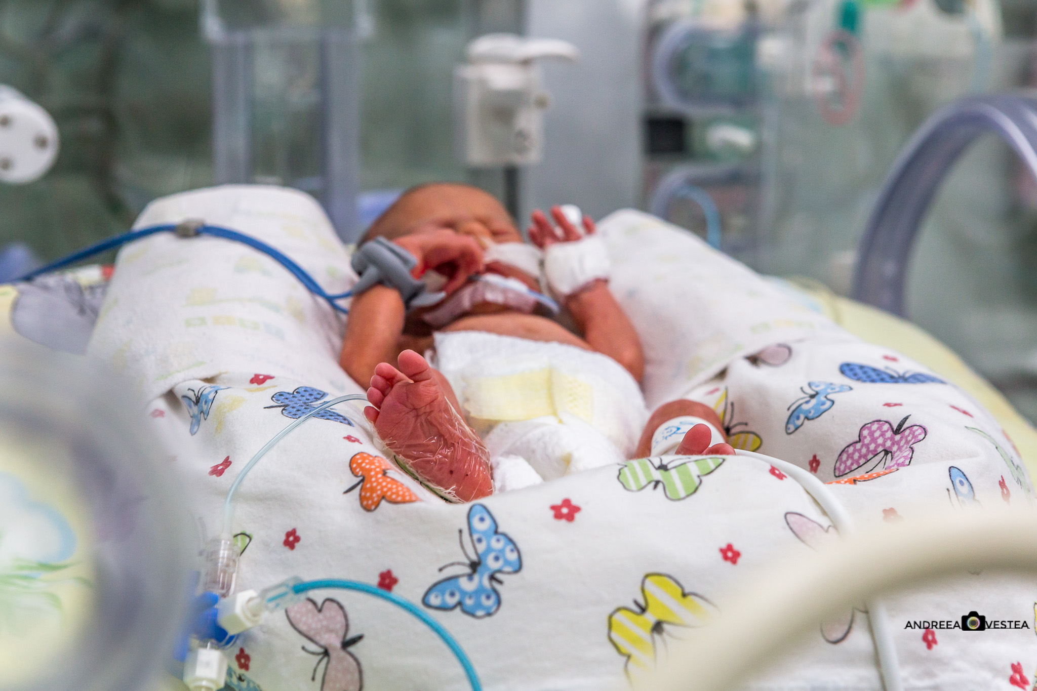 Secția Neonatologie – Spitalul Clinic de Obstetrica si Ginecologie ...